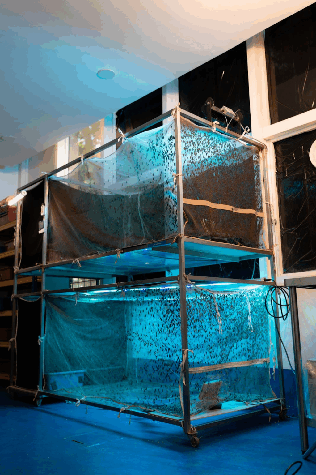 Entomal Biotech - Solving Food Waste at Scale, One Larva at a Time ...