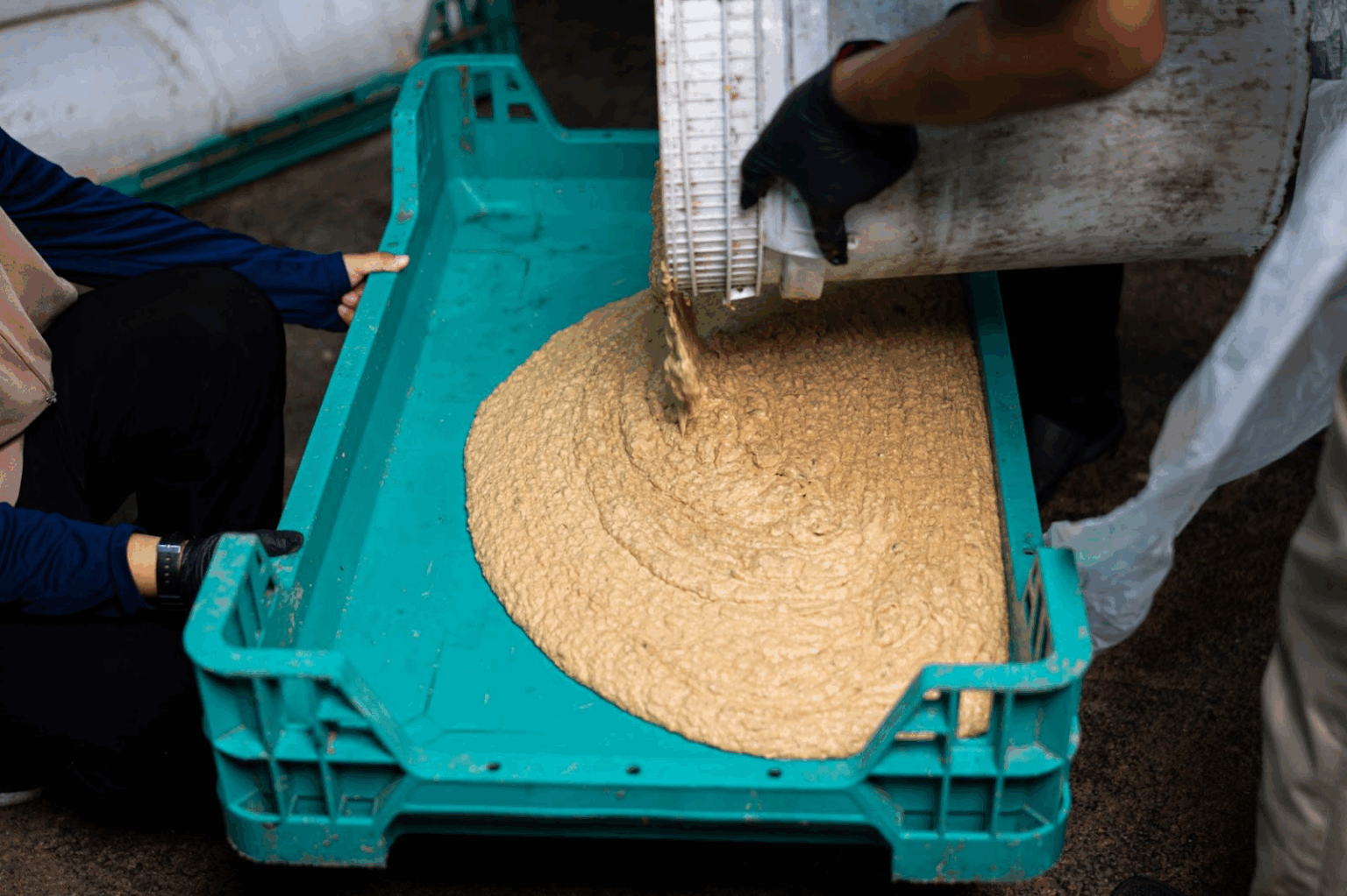 Entomal Biotech - Solving Food Waste at Scale, One Larva at a Time ...