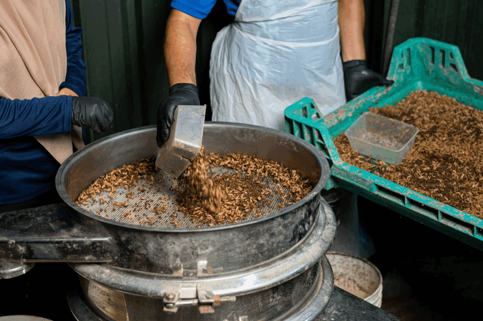 Entomal Biotech - Solving Food Waste at Scale, One Larva at a Time ...