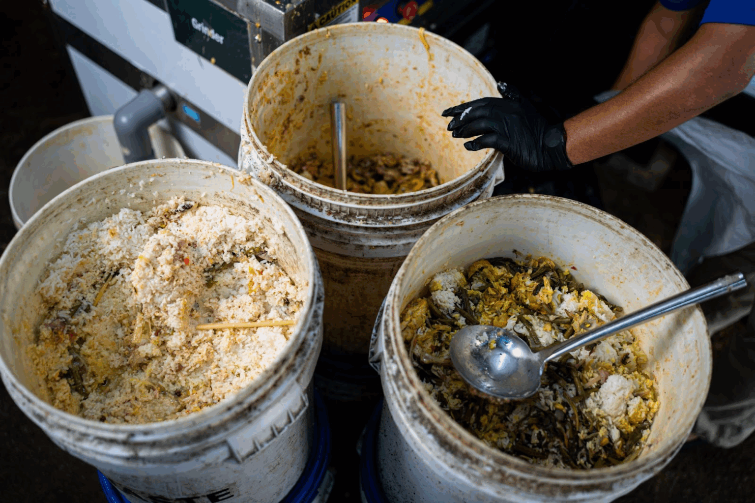 Entomal Biotech - Solving Food Waste at Scale, One Larva at a Time ...